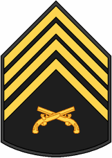 Policia militar de Minas Gerais: 2*Sargento